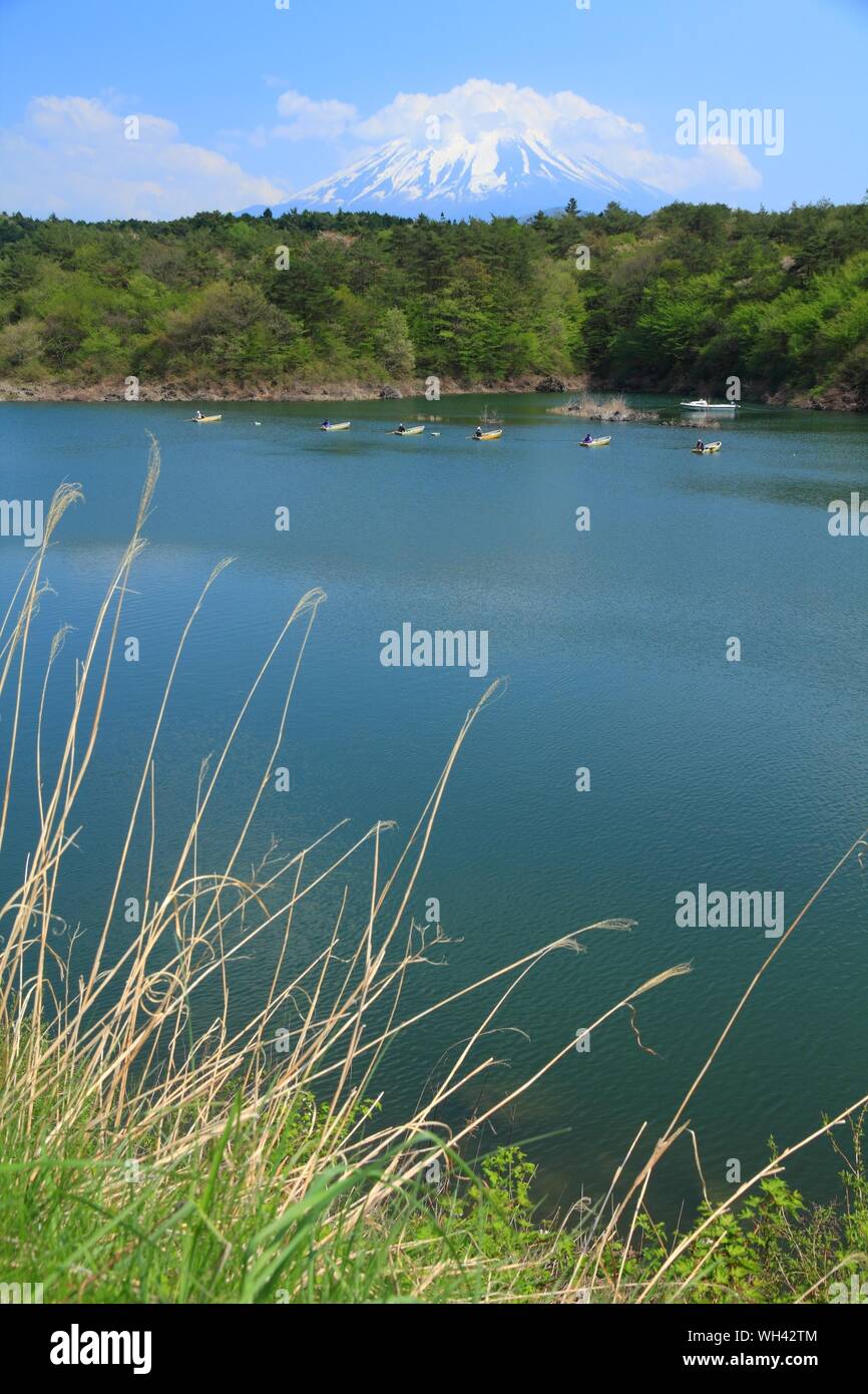 Japan landscape with Mount Fuji - Lake Shoji (Shojiko) and the famous ...