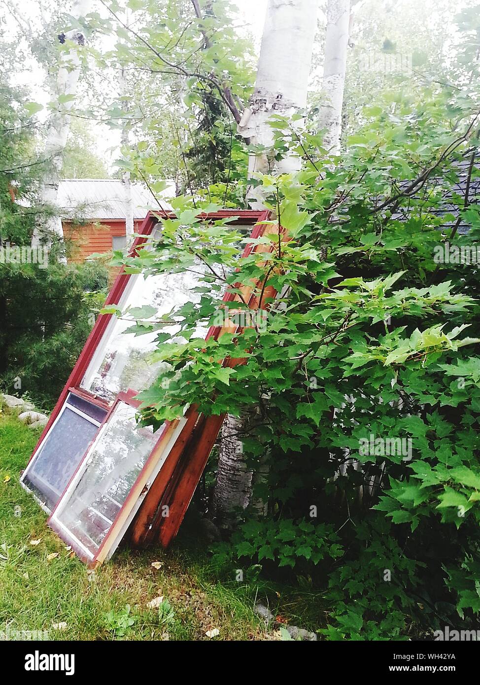 Run down yard hi-res stock photography and images - Alamy