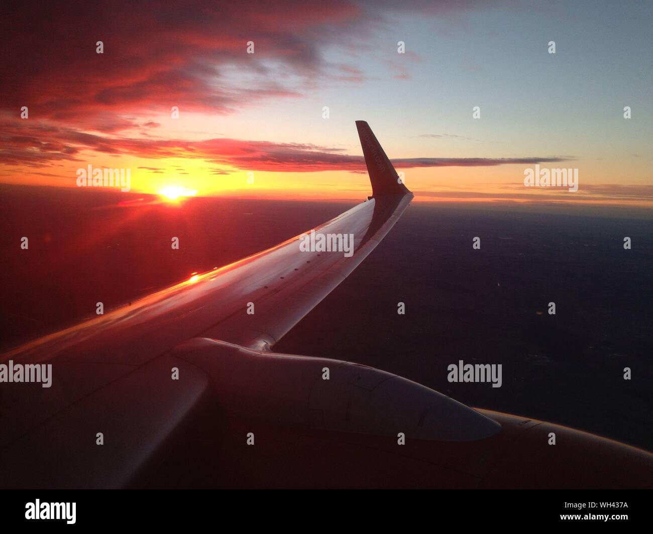 Plane_wing hi-res stock photography and images - Alamy