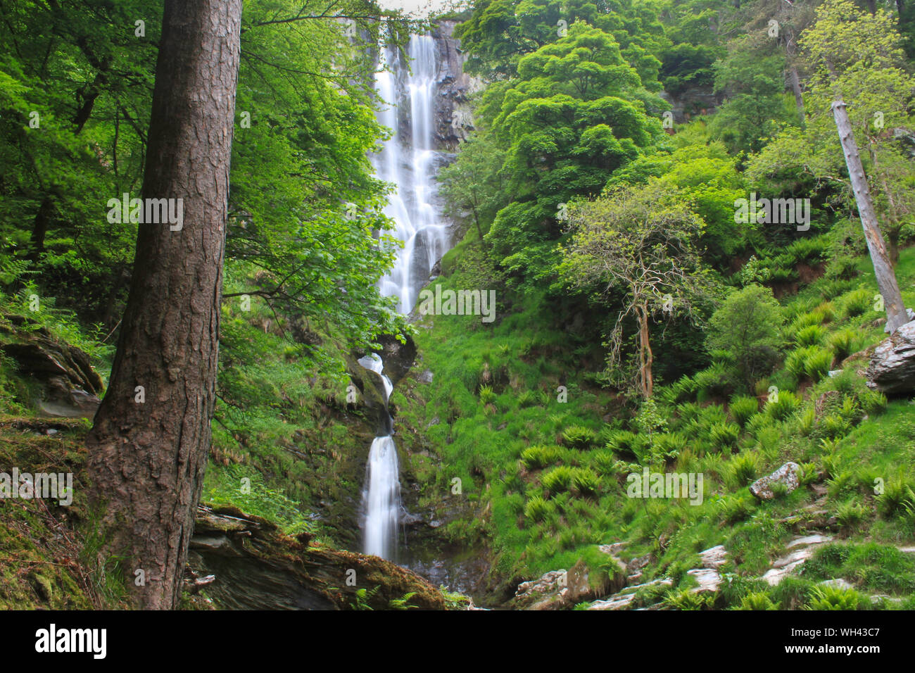 Pistyll Rhaeadr Waterfall, Wales Stock Photo - Alamy