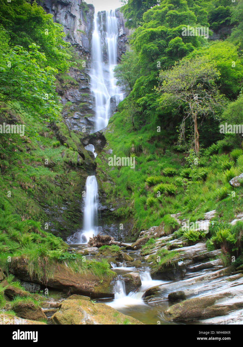 Pistyll Rhaeadr Waterfall, Wales Stock Photo - Alamy