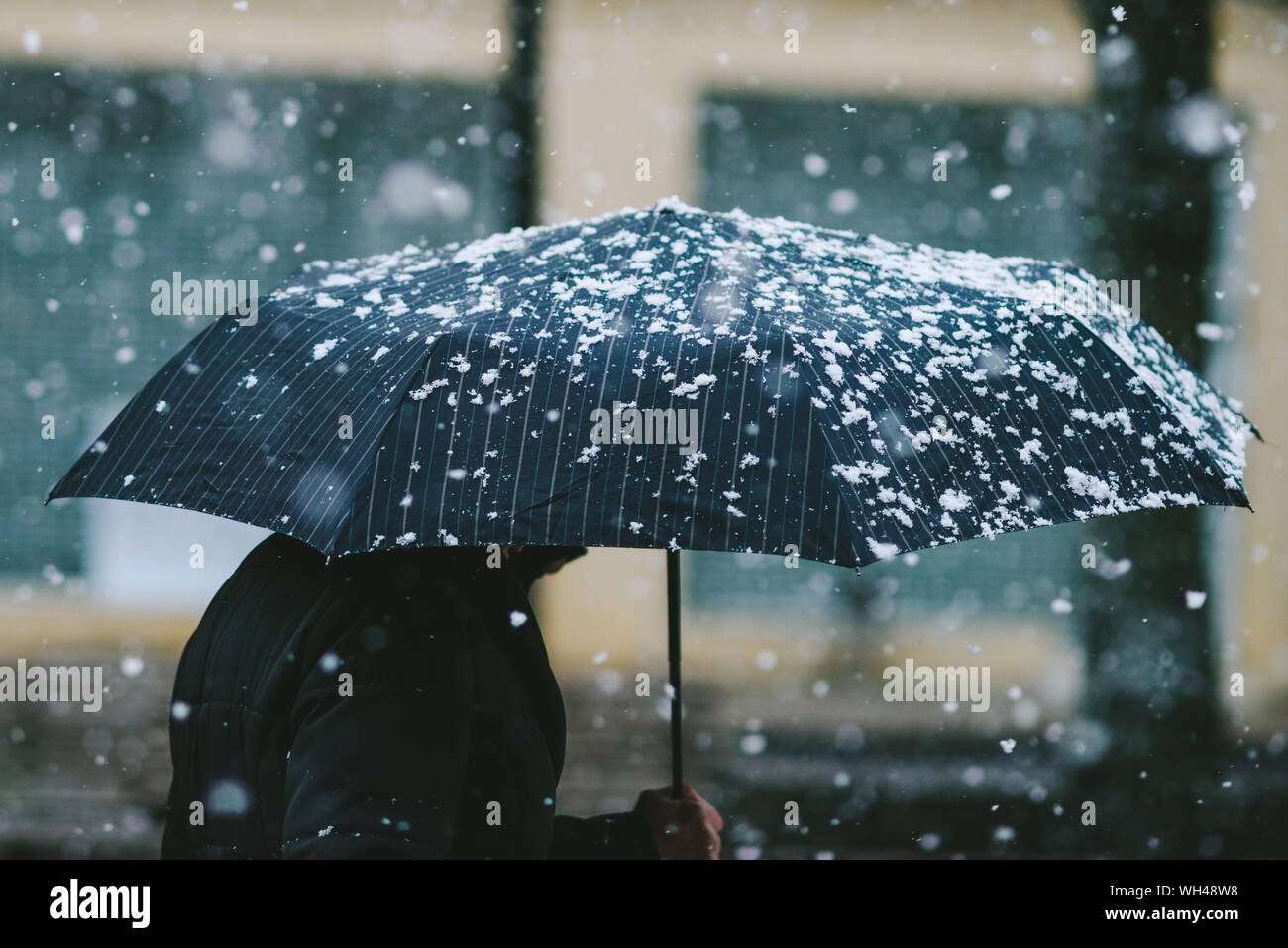 Falling snow up close hi-res stock photography and images - Alamy