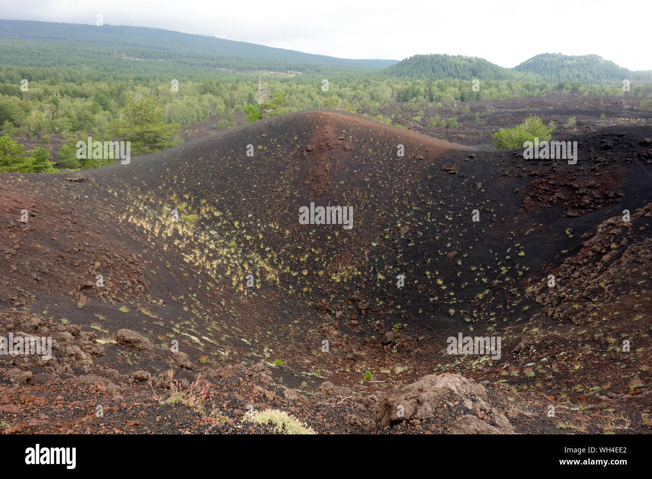 Dunes field hi-res stock photography and images - Alamy