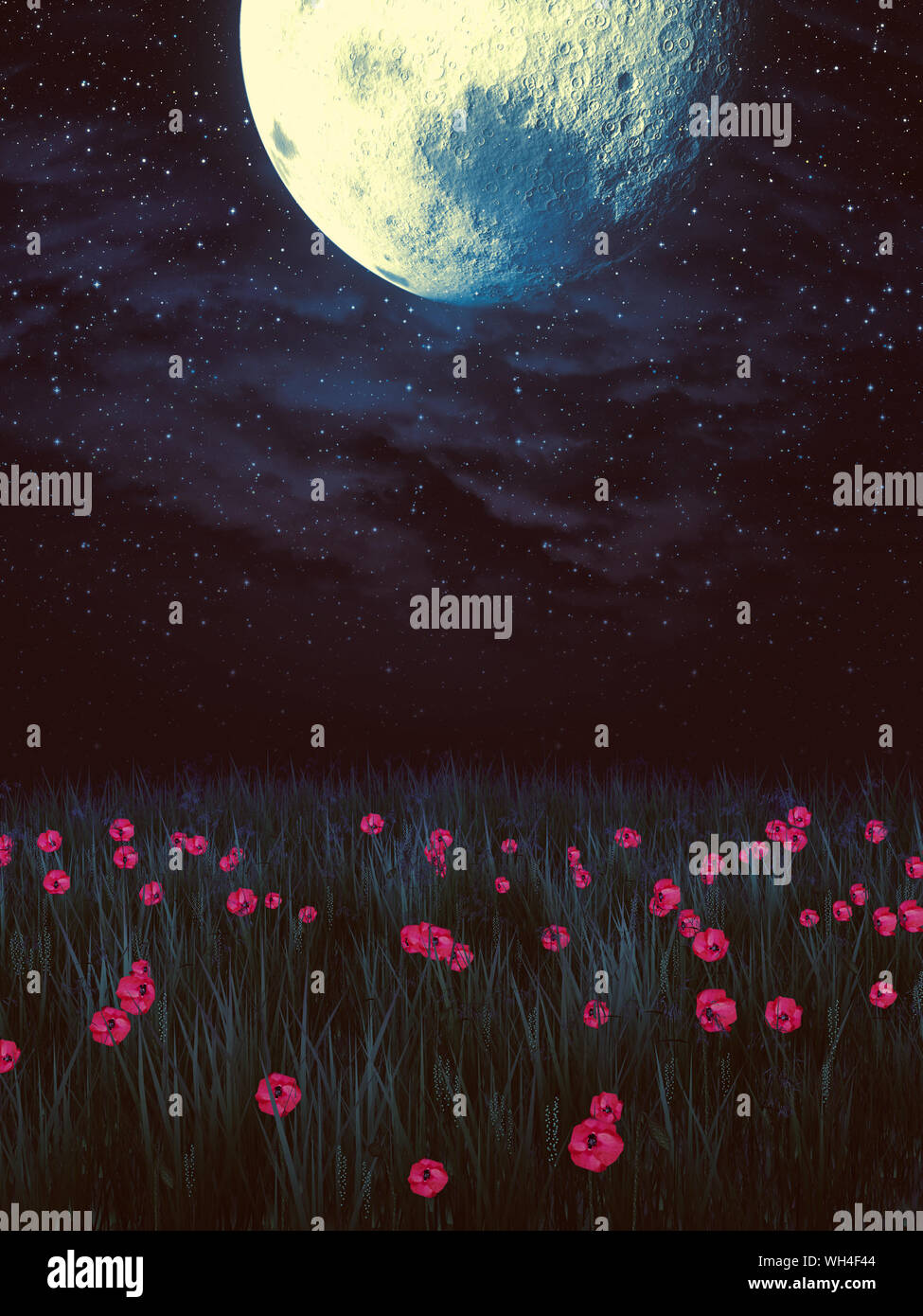 Big stylized moon in the night sky over grass field Stock Photo - Alamy