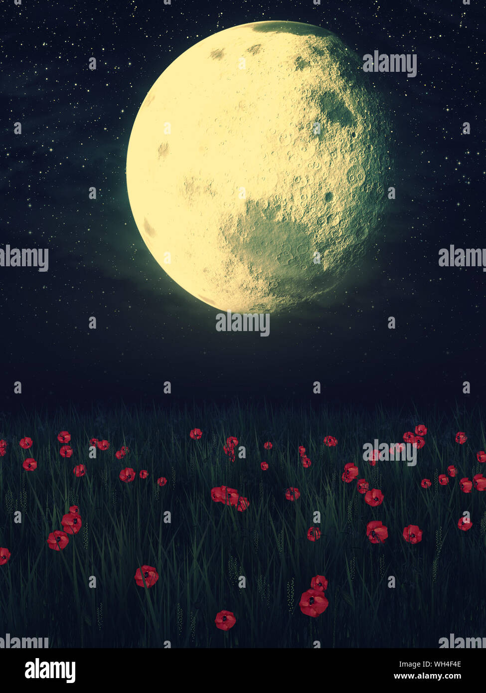 Big stylized moon in the night sky over grass field Stock Photo - Alamy