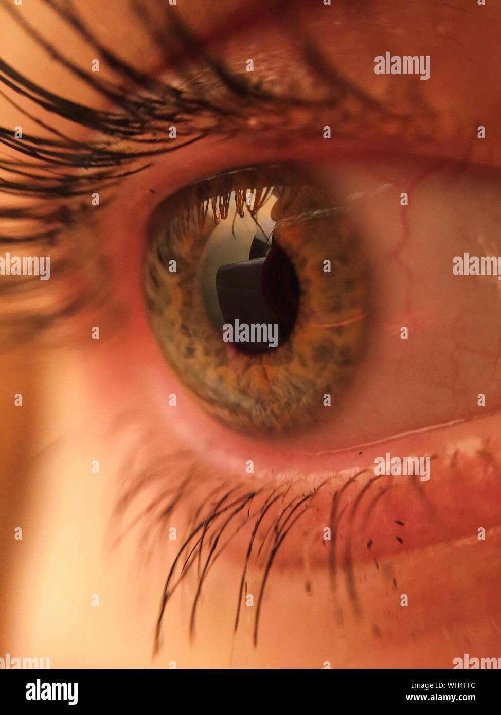 Eye lashes hi-res stock photography and images - Alamy