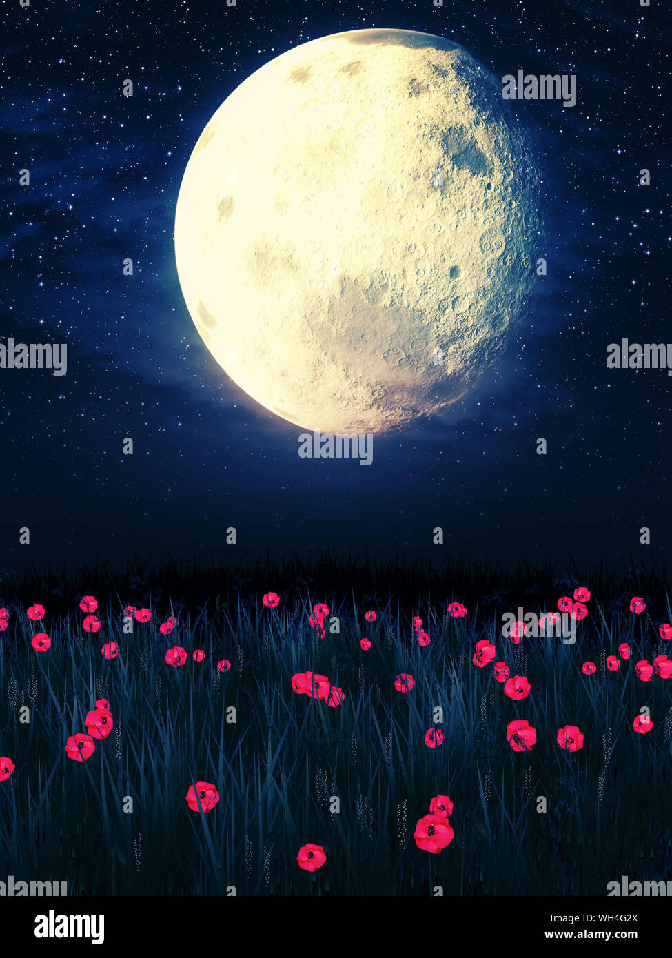 Big stylized moon in the night sky over grass field Stock Photo - Alamy