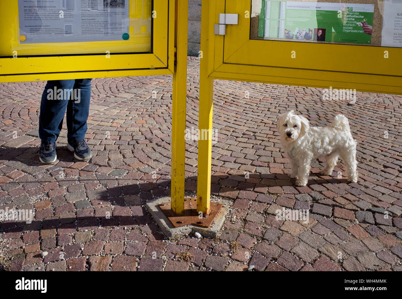 Street Bulletin Board High Resolution Stock Photography and Images - Alamy
