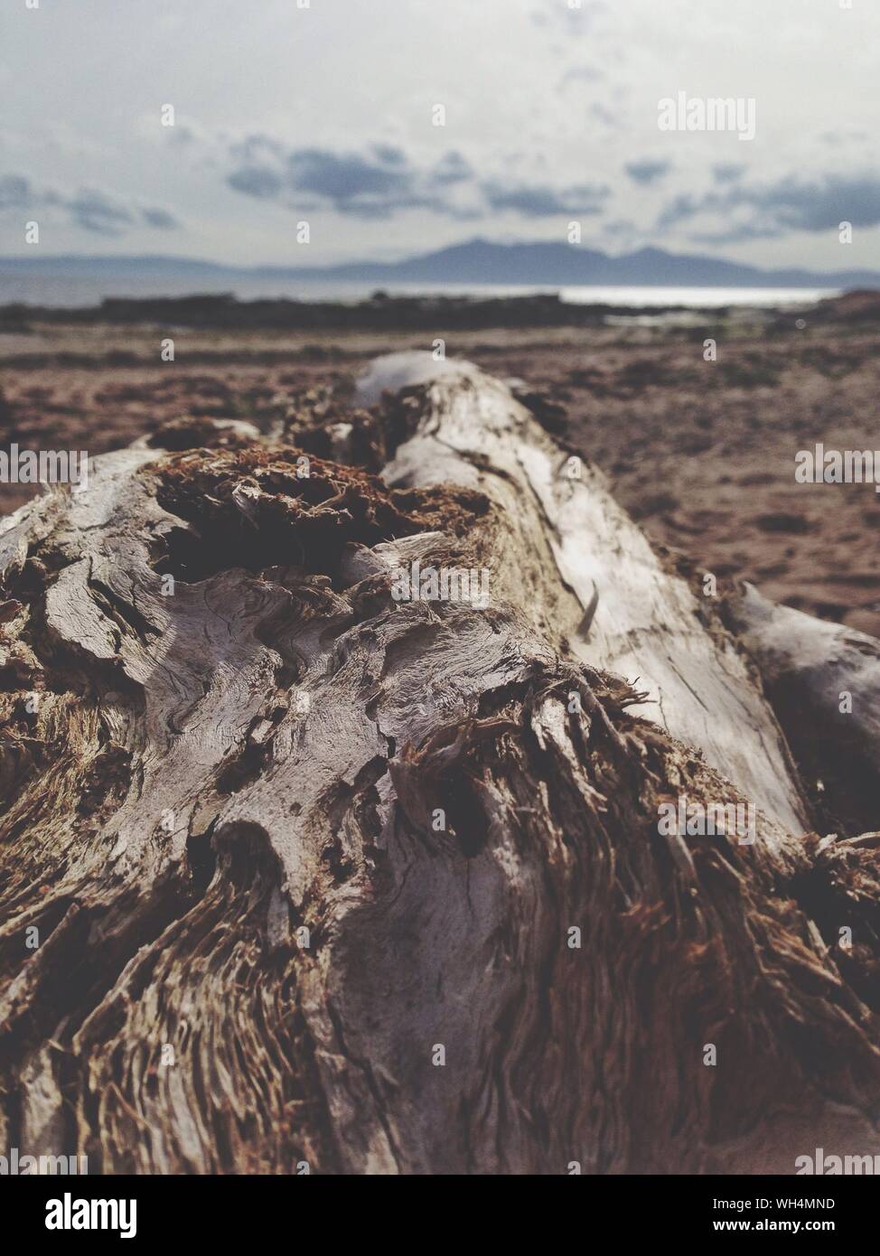 The land of the dead hi-res stock photography and images - Alamy