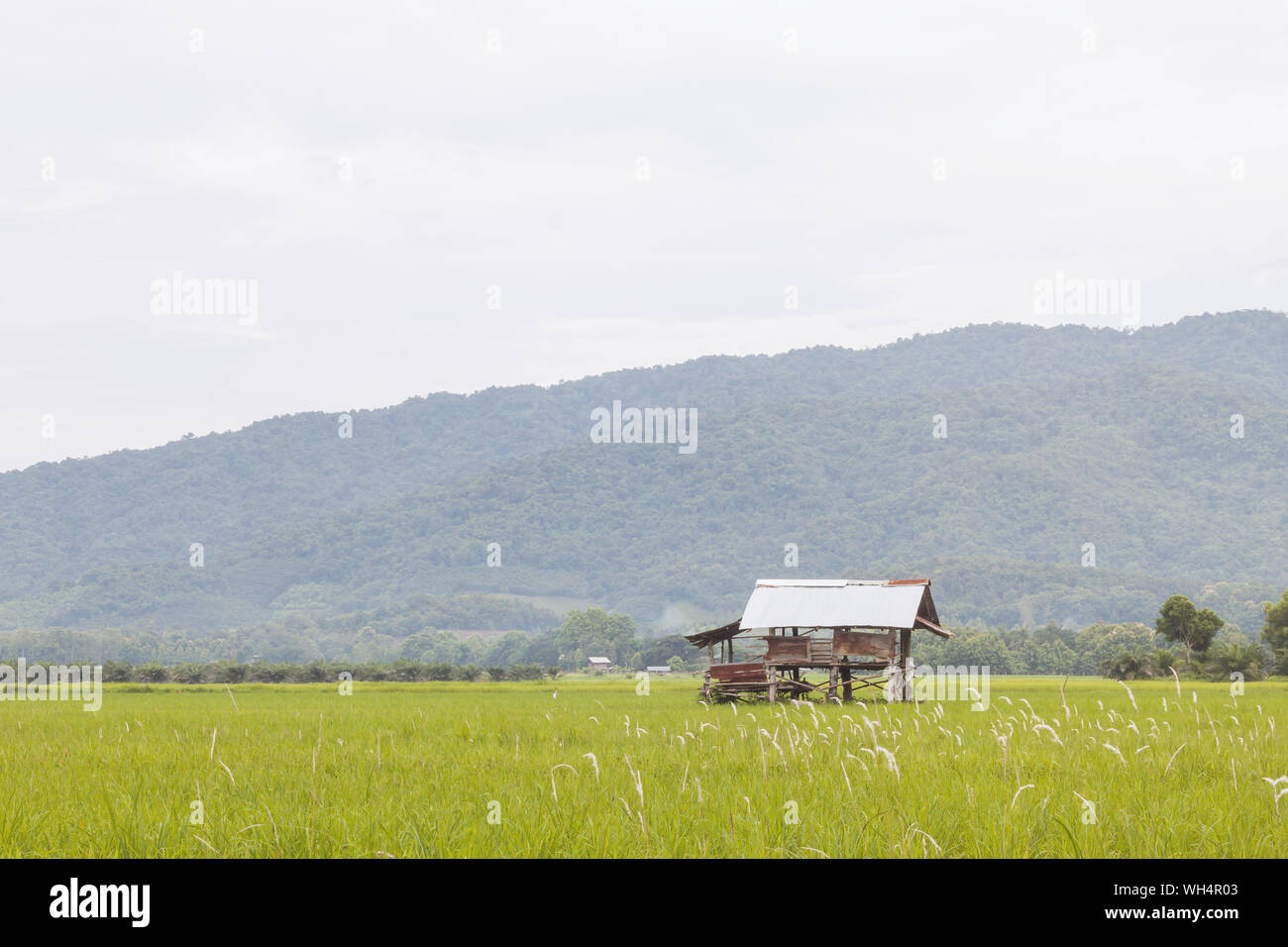 Old shed on farm hi-res stock photography and images - Alamy