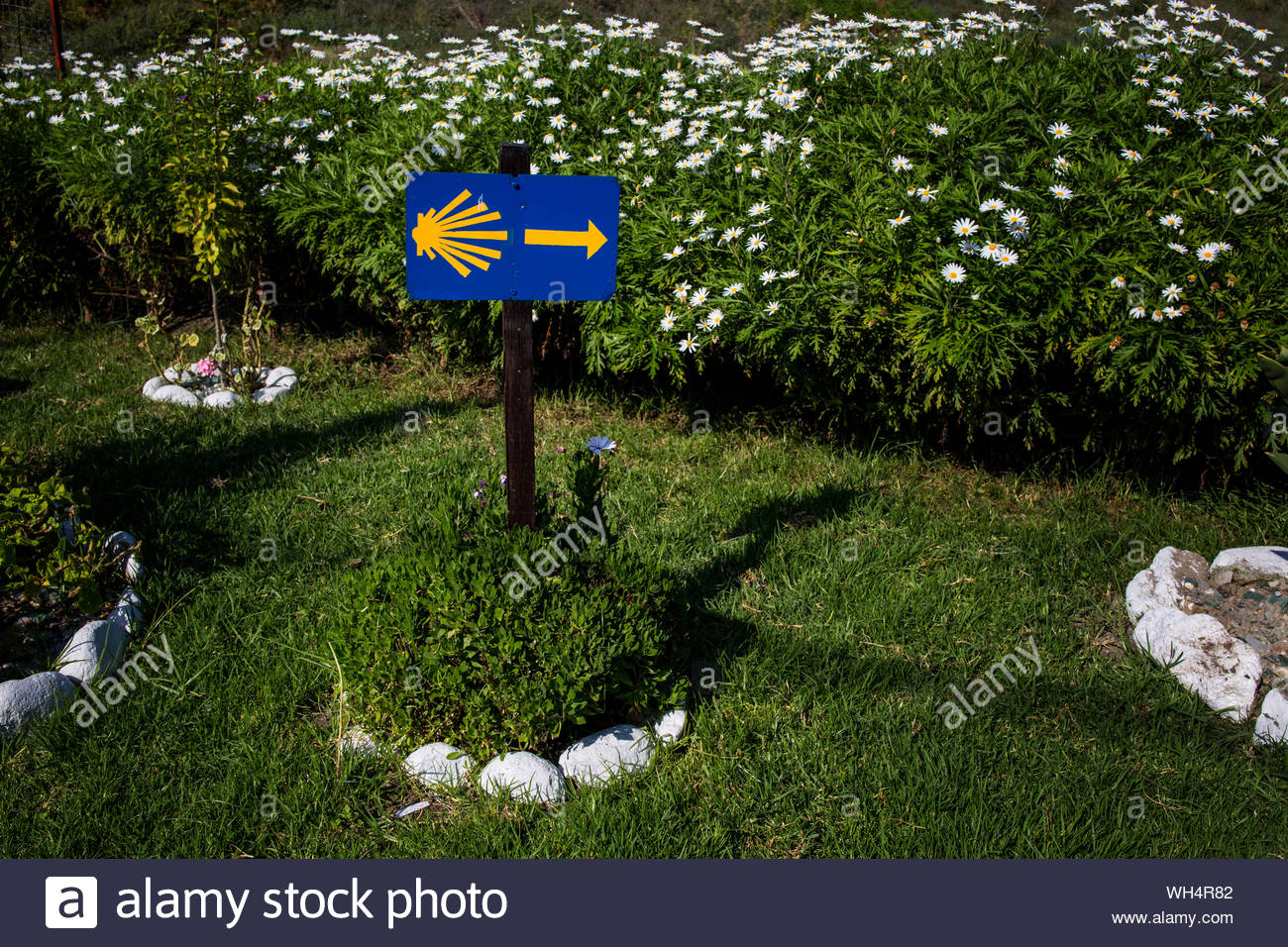 Scallop Shell Sign High Resolution Stock Photography and Images - Alamy