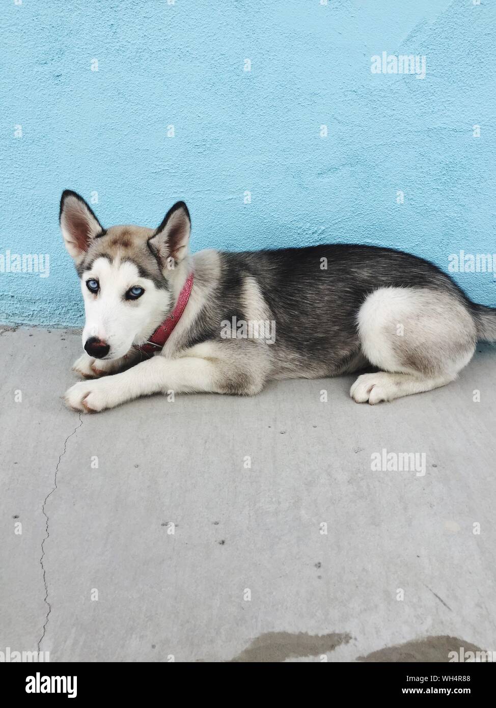 High Camera Angle Looking Down High Resolution Stock Photography and ...