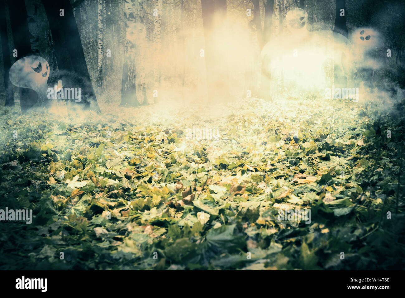 Dark forest and ghosts in the glowing mist at night Stock Photo - Alamy