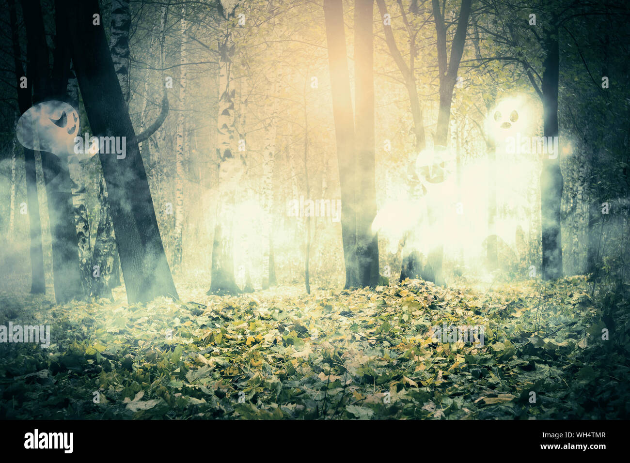 Dark forest and ghosts in the glowing mist at night Stock Photo - Alamy