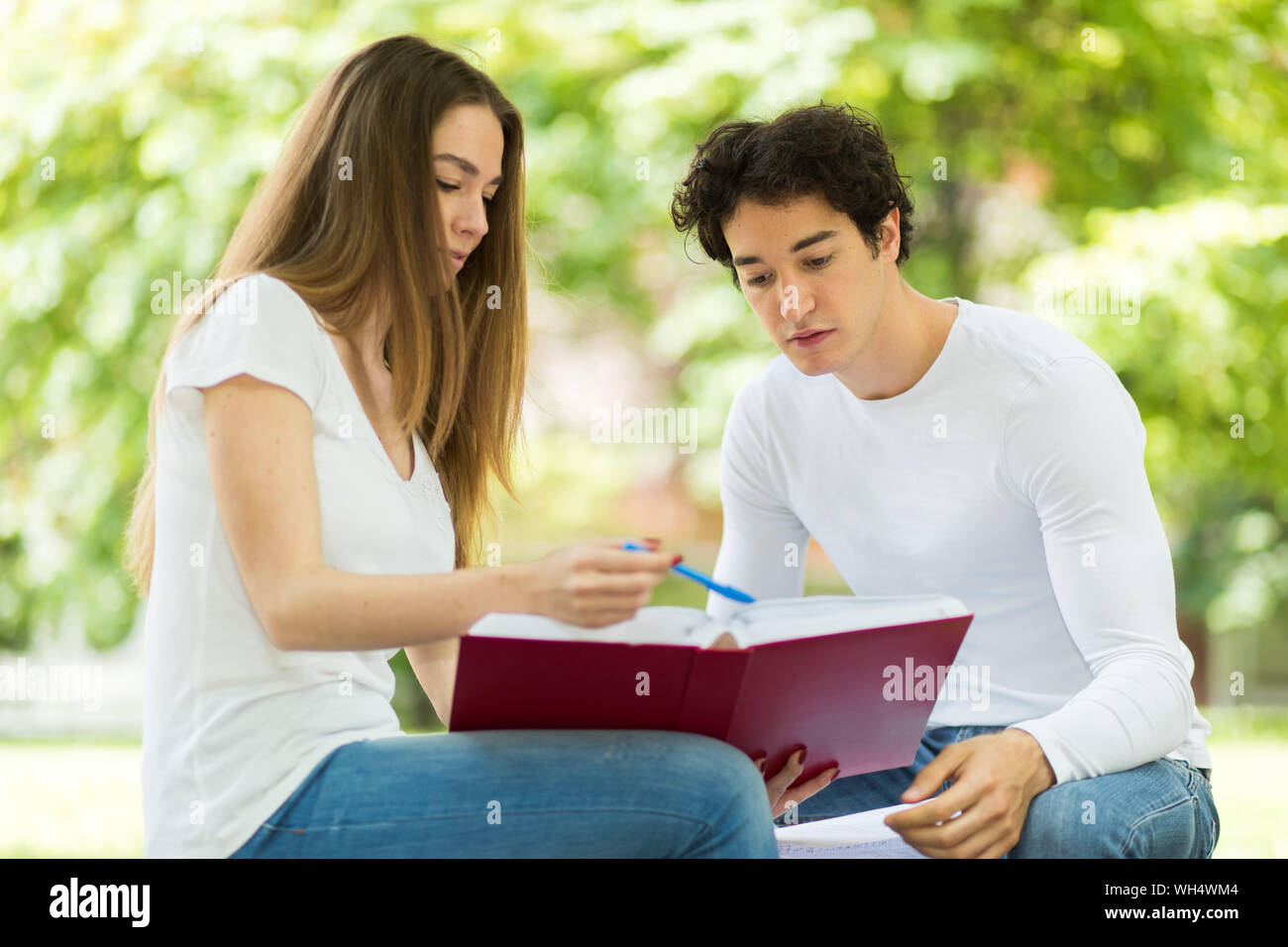Two students studying together sitting on a bench outdoor Stock Photo ...