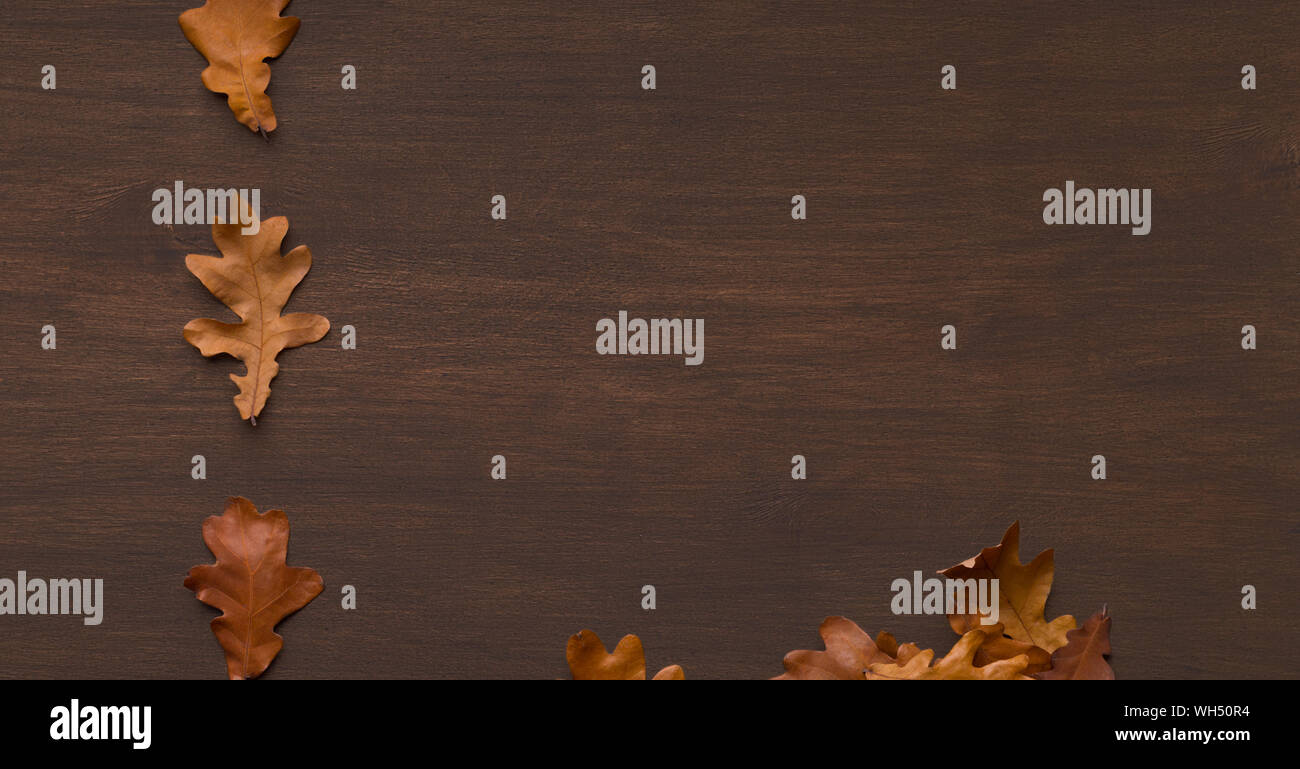 Bronze Autumn frame with oak dry leaves border Stock Photo - Alamy