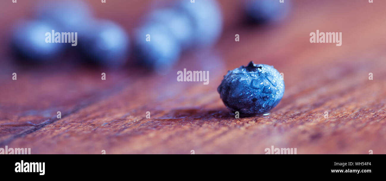 Blueberries Reduce DNA Damage, Which May Help Protect Against Aging and ...