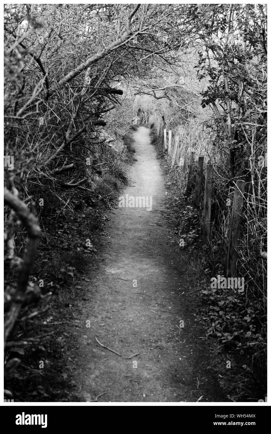 Narrow pathway Cut Out Stock Images & Pictures - Alamy