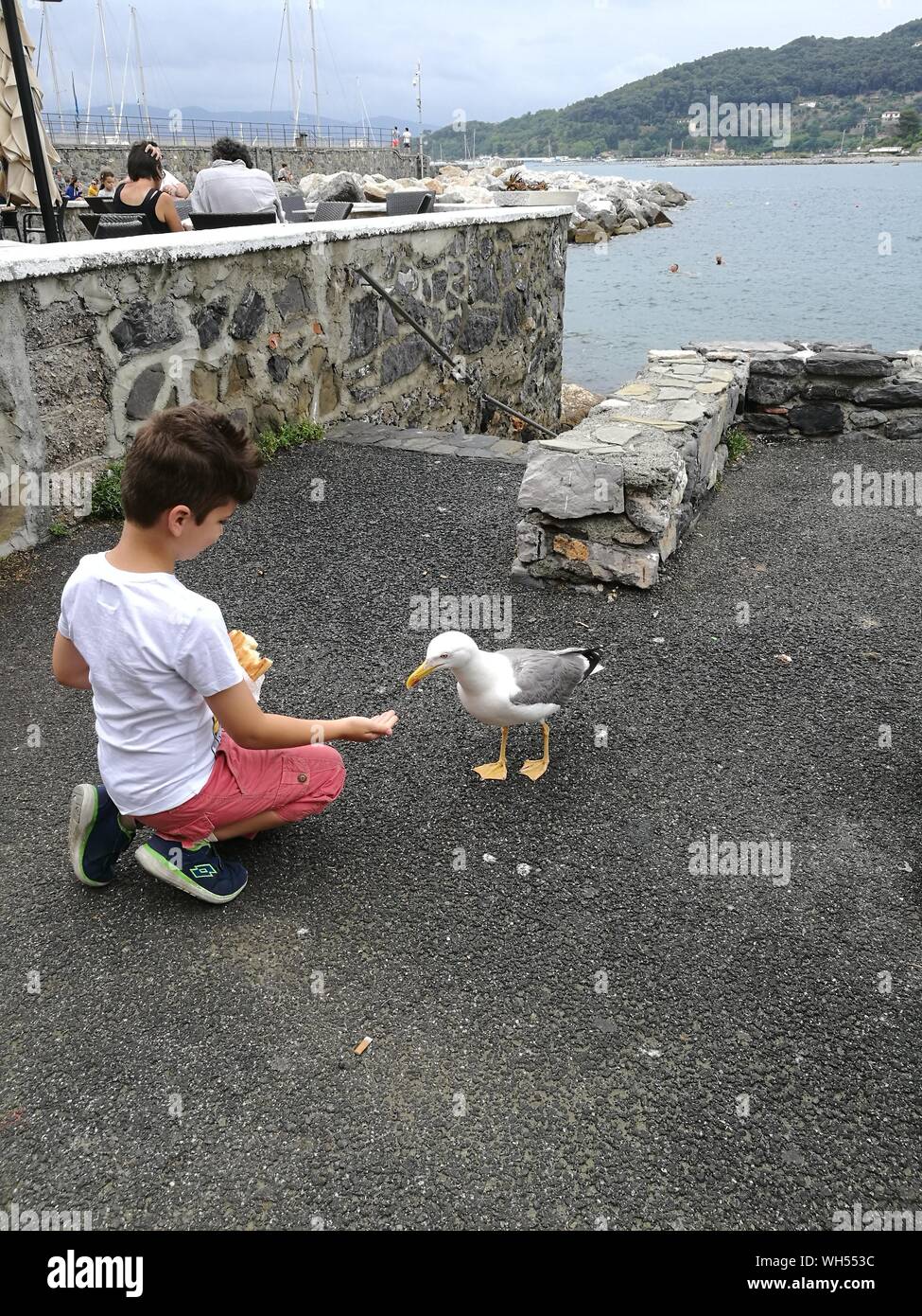 Boy With Bird High Resolution Stock Photography and Images - Alamy