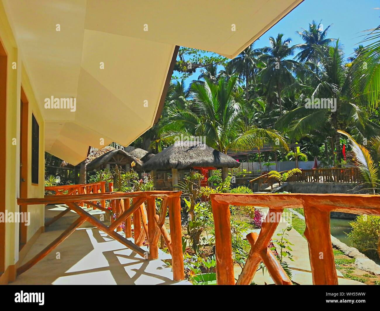 Palm trees building hi-res stock photography and images - Alamy