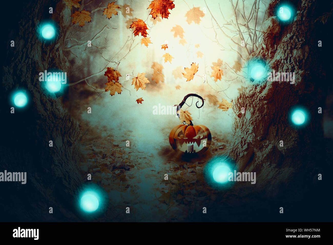Halloween night background with spooky forest trees and pumpkin in fog ...