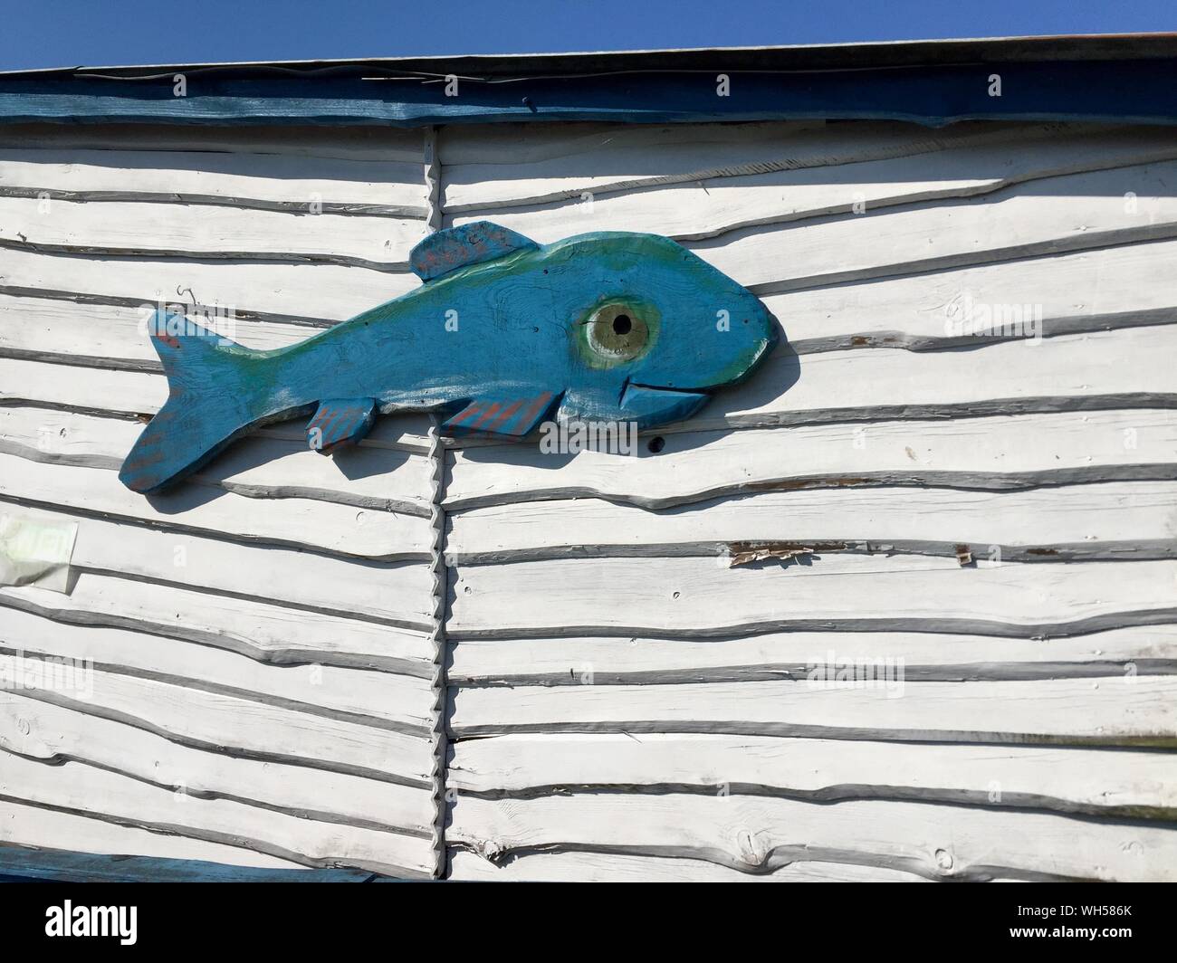 Wall mounted fish hi-res stock photography and images - Alamy
