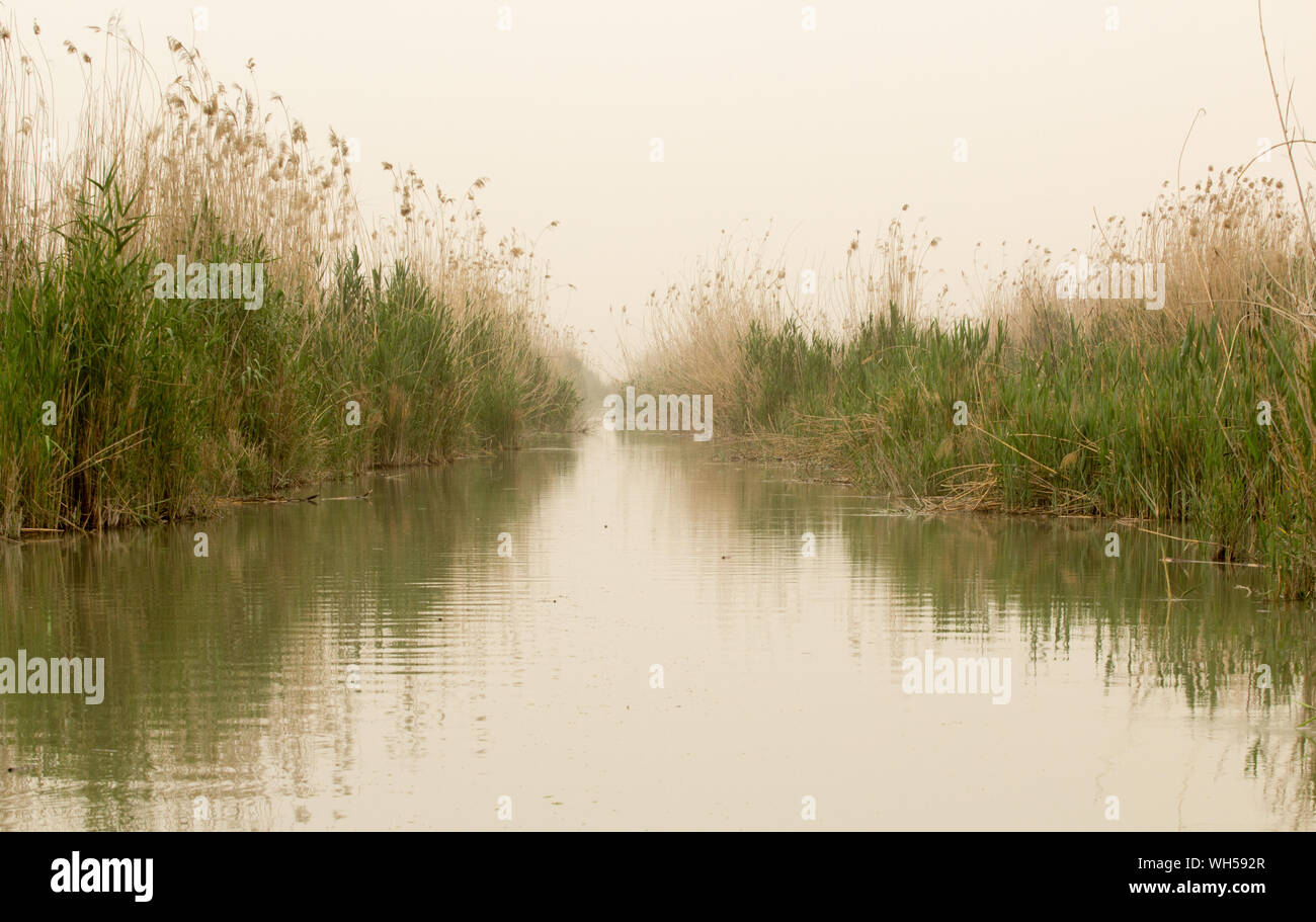 Waterfront river grass hi-res stock photography and images - Alamy
