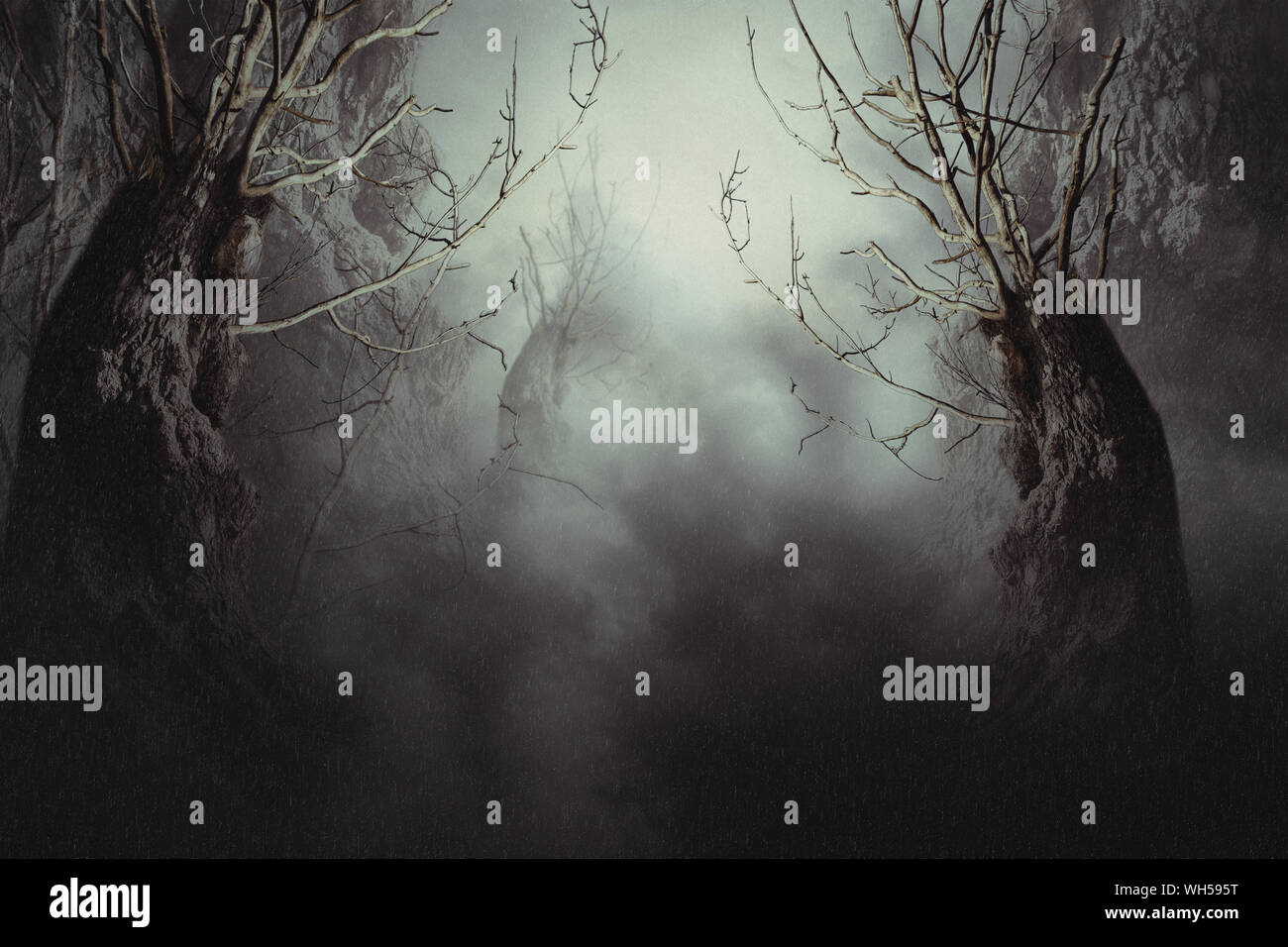 Halloween night background with spooky forest trees in fog Stock Photo ...