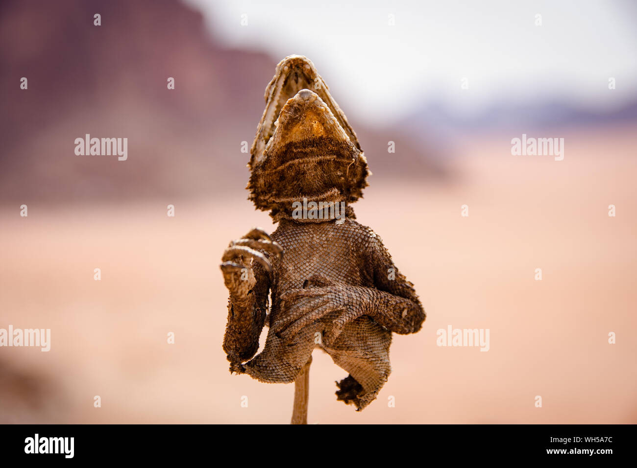 Dead stick hi-res stock photography and images - Alamy