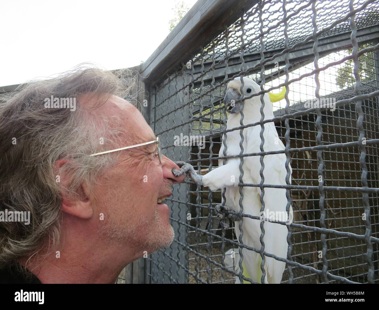 Man in the cage hi-res stock photography and images - Alamy