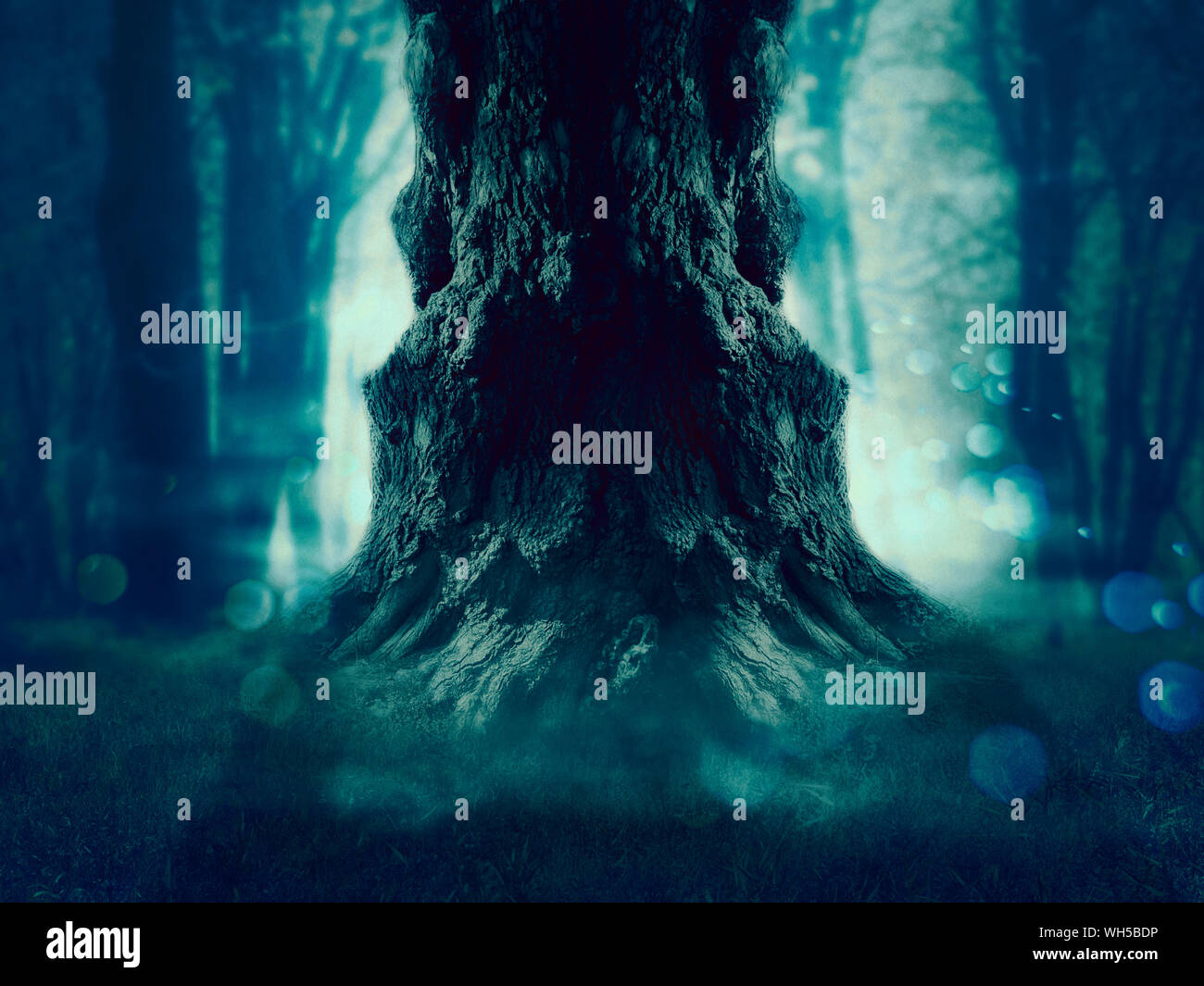 Big crooked spooky tree in the night forest Stock Photo - Alamy