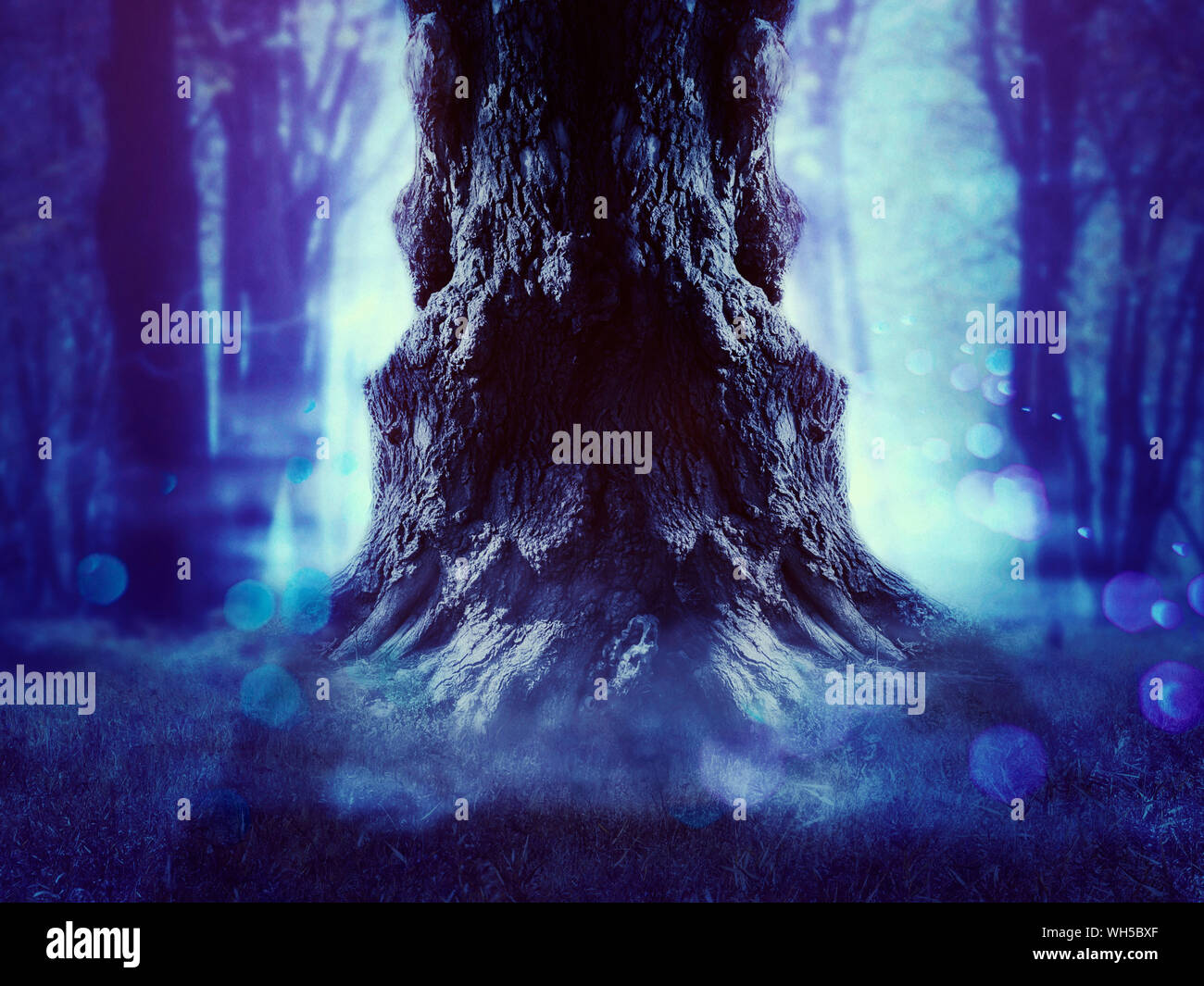 Big crooked spooky tree in the night forest Stock Photo - Alamy