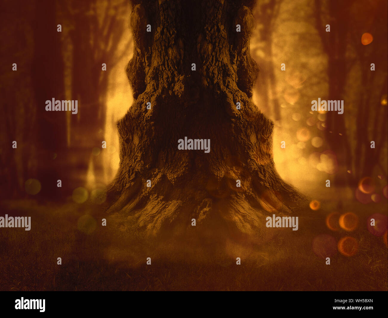 Big crooked spooky tree in the night forest Stock Photo - Alamy