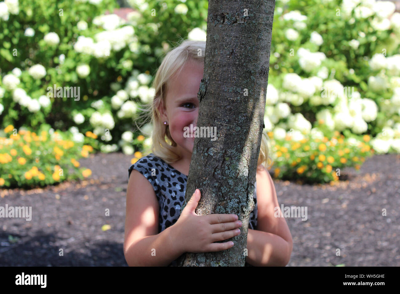 Girl hiding behind tree man hi-res stock photography and images - Alamy