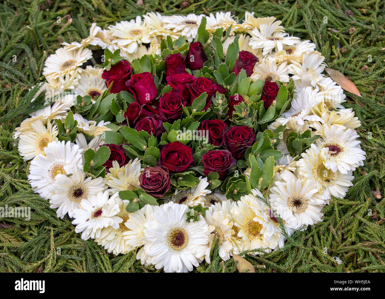 Beauty floristic decoration with colorful tropical flowers Stock Photo ...