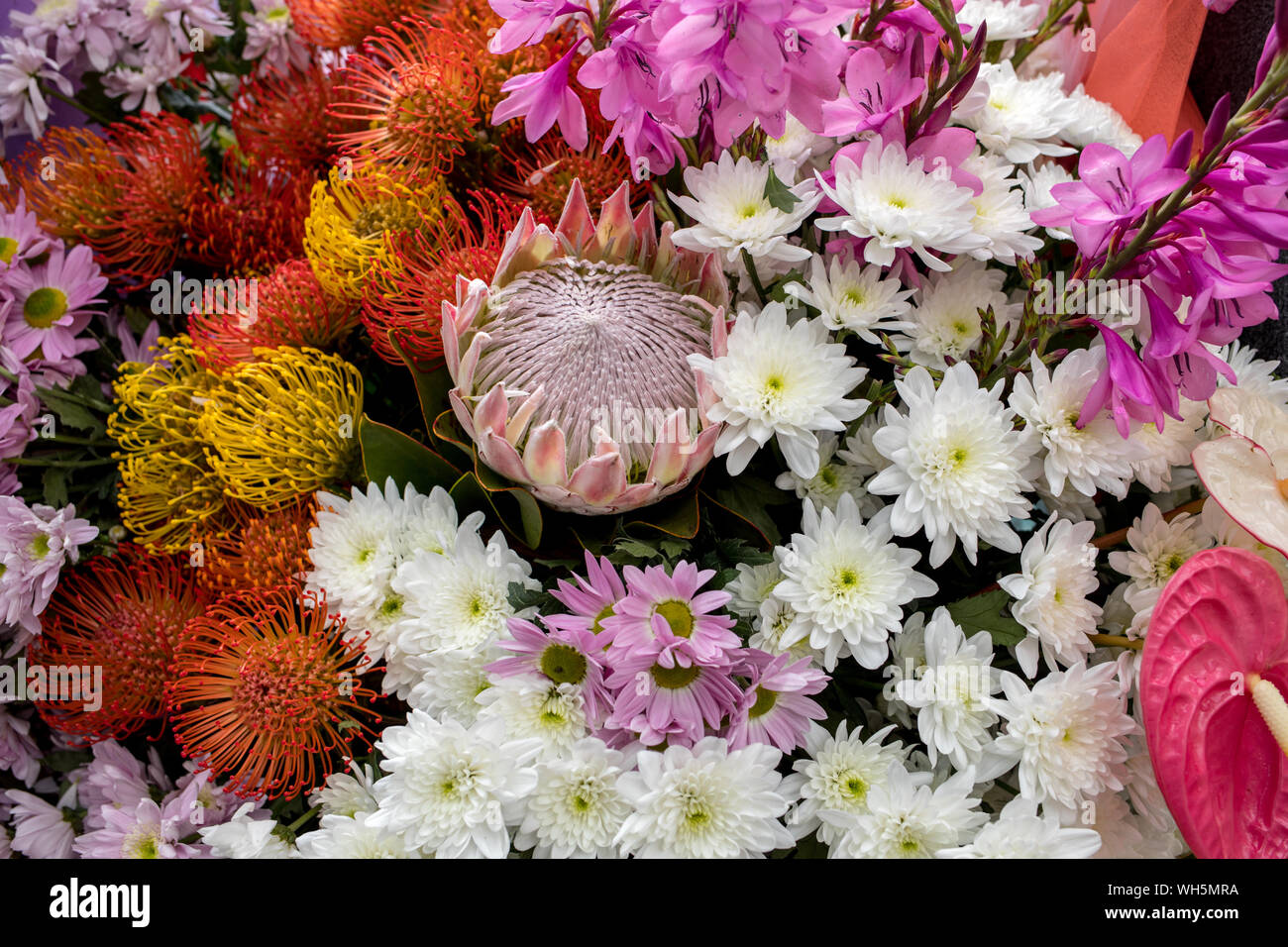 Beauty floristic decoration with colorful tropical flowers Stock Photo ...