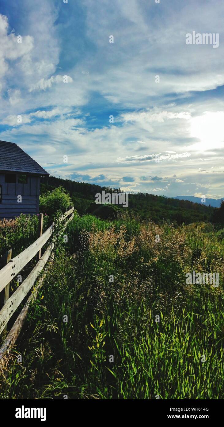 Hut fence hi-res stock photography and images - Alamy
