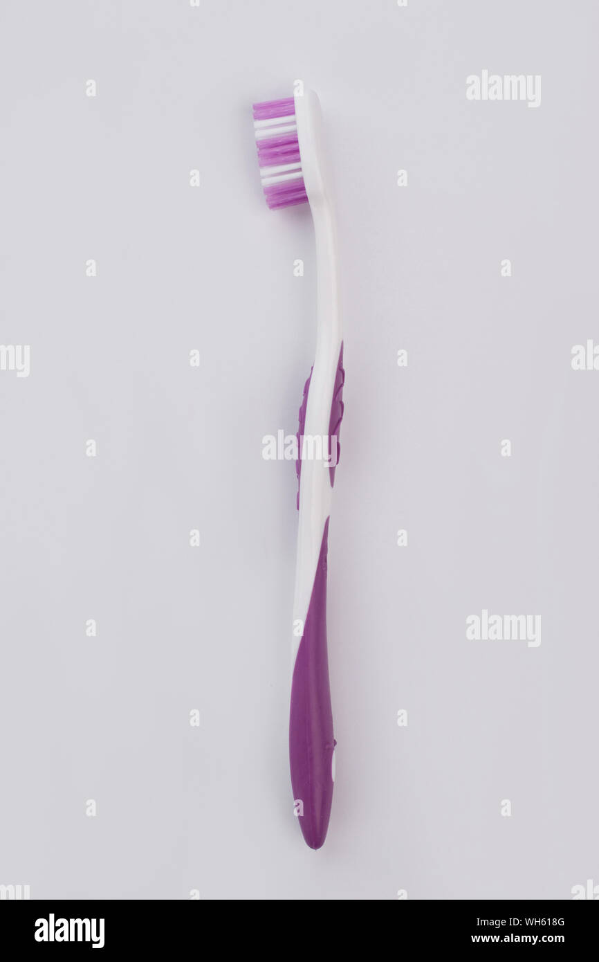 Purple tooth brush isolated on white background Stock Photo - Alamy