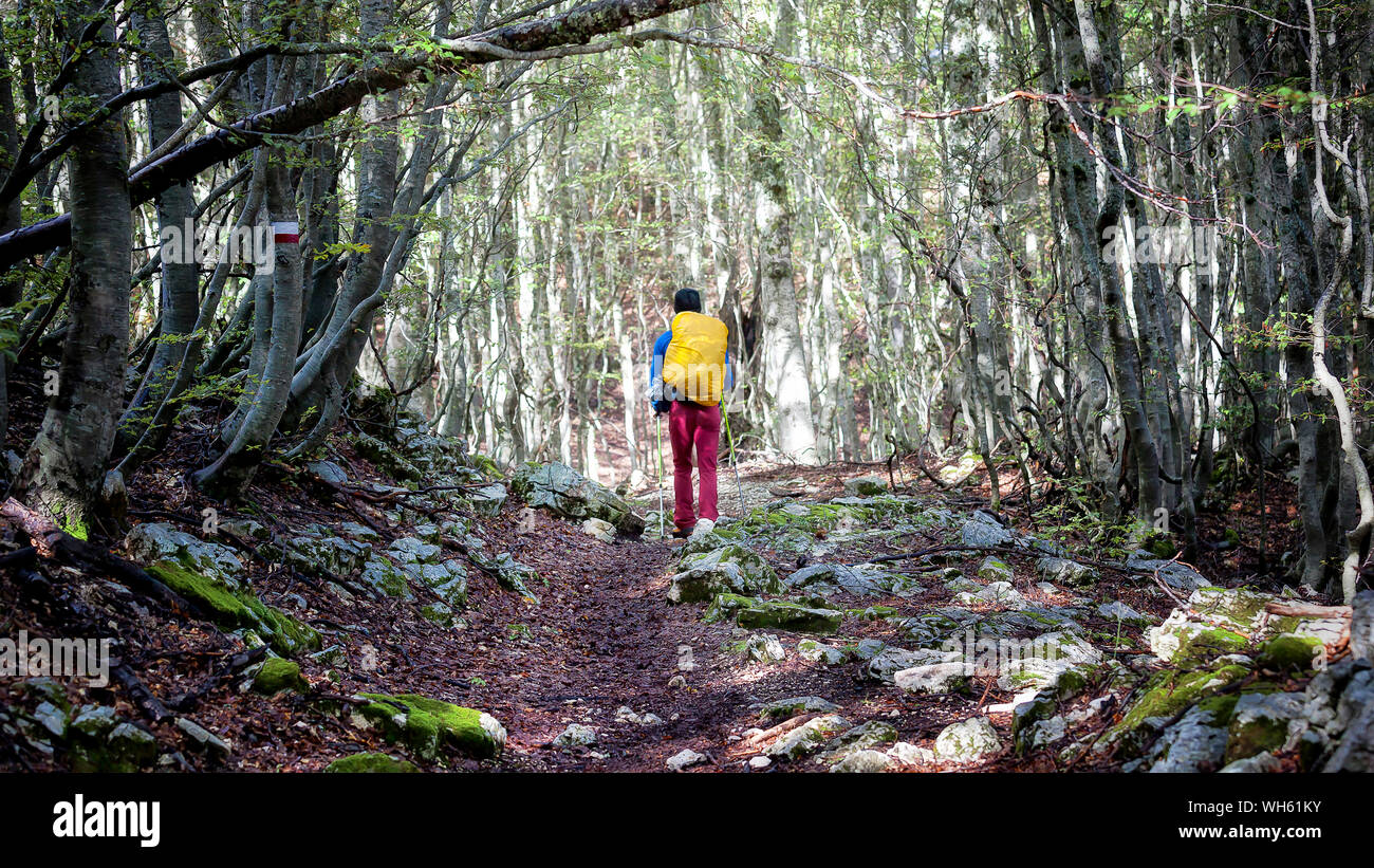 One person forest hi-res stock photography and images - Alamy