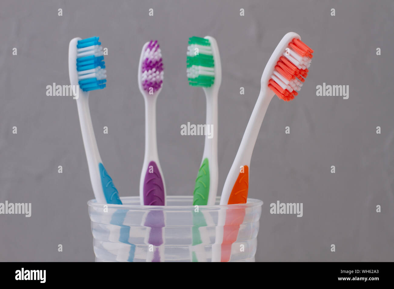 Four different toothbrush in plastic glass Stock Photo - Alamy
