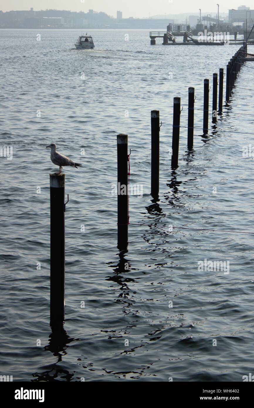 Water level poles hi-res stock photography and images - Alamy
