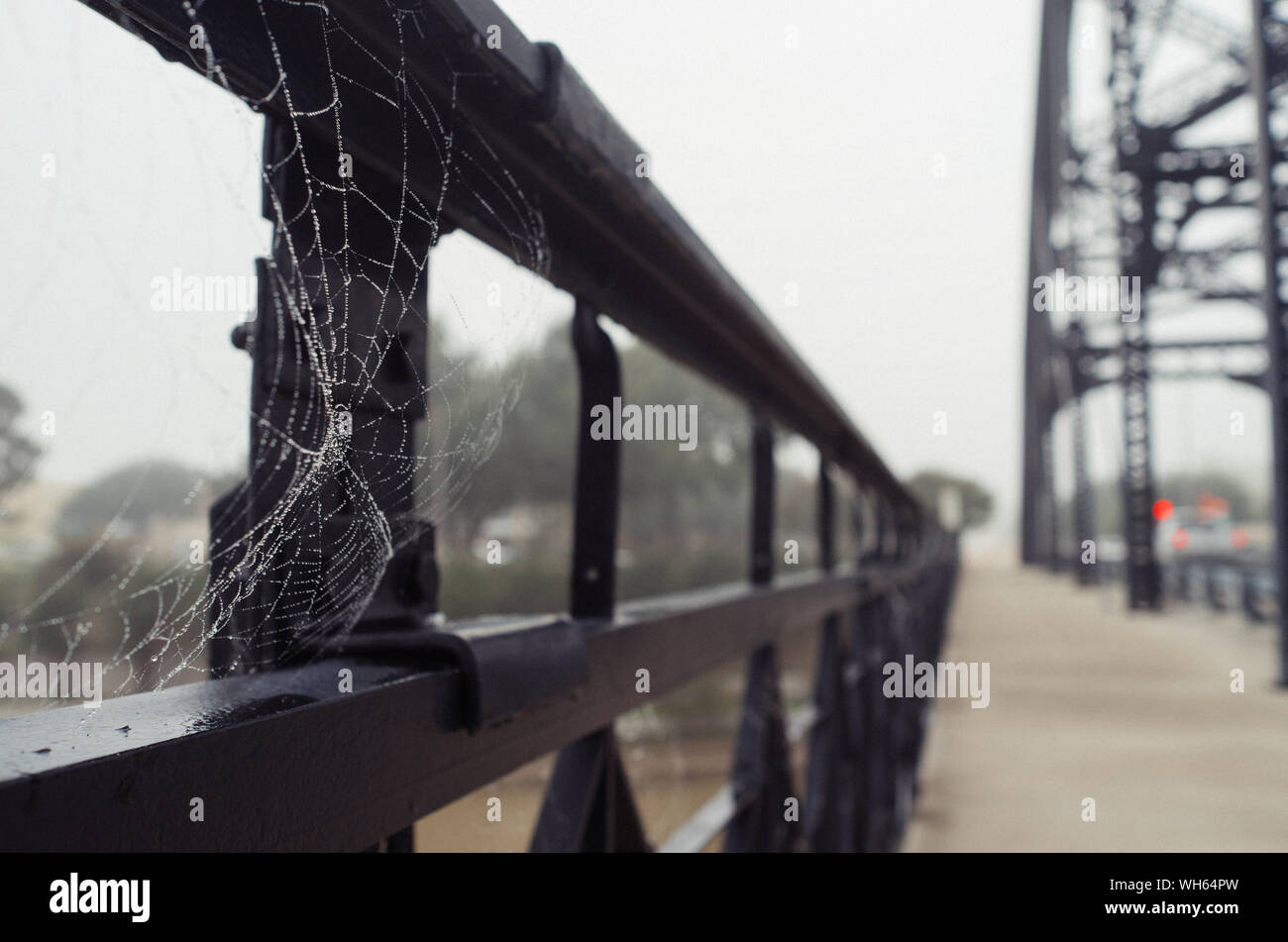 The Spider Web Bridge High Resolution Stock Photography and Images - Alamy