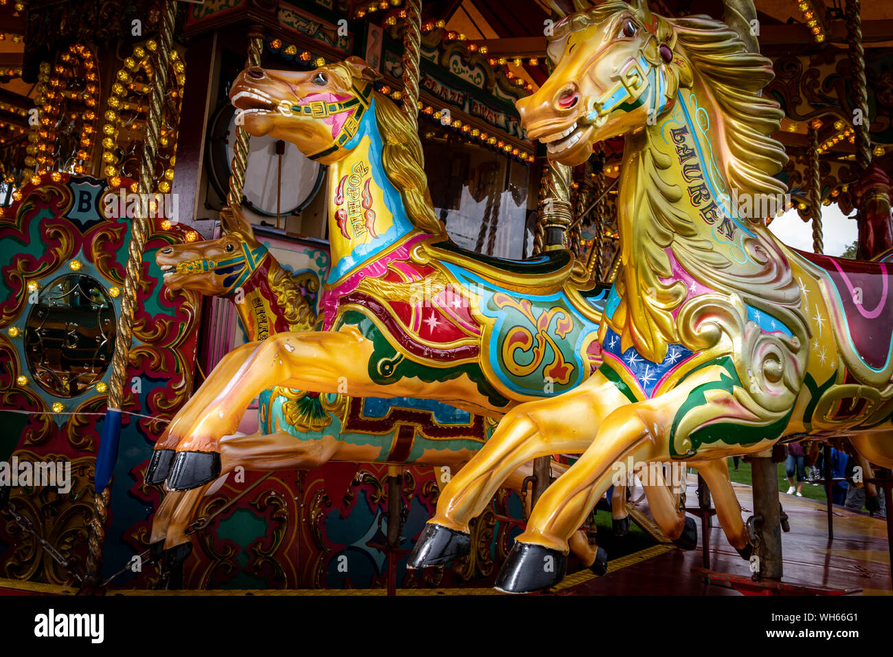 Gallopers High Resolution Stock Photography and Images - Alamy
