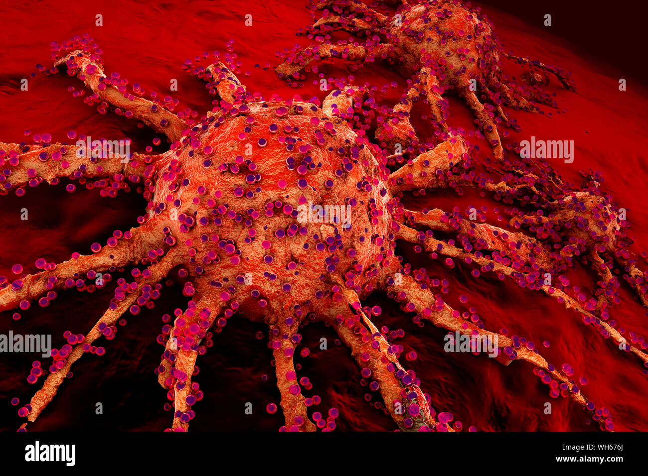 3D rendered Illustration of a growing Cancer cell spreading on healthy ...