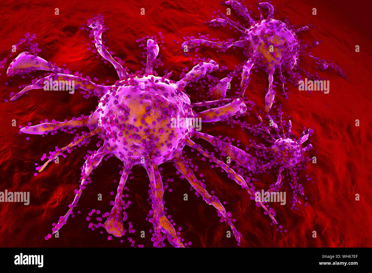 3D rendered Illustration of a growing Cancer cell spreading on healthy ...