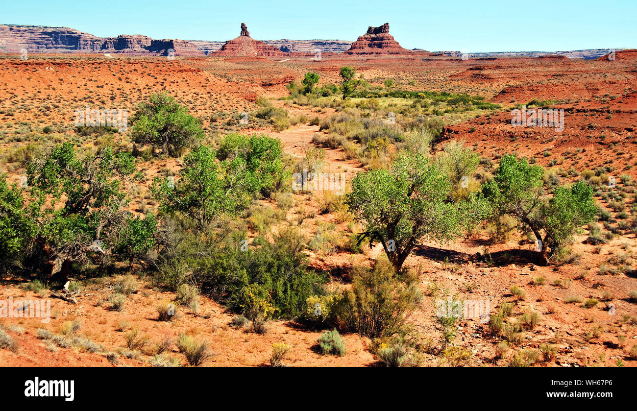 Utah Desert Plants High Resolution Stock Photography and Images - Alamy