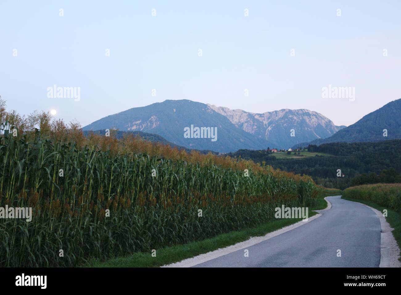 Road corn hi-res stock photography and images - Alamy
