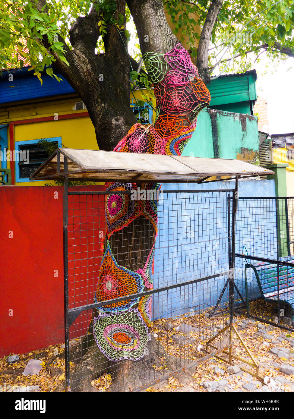 Multi tree hi-res stock photography and images - Alamy