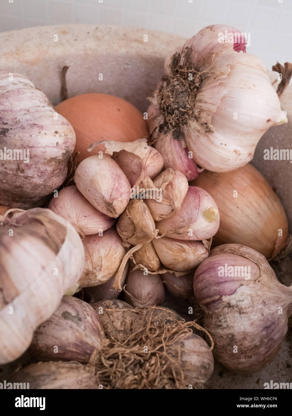 Rotting Garbage High Resolution Stock Photography and Images - Alamy