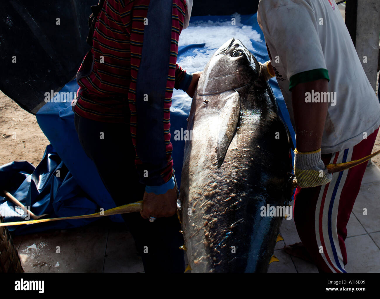 Two men large fish hi-res stock photography and images - Alamy